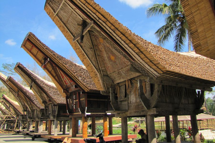 Sejarah Rumah Adat Toraja yang Perlu Diketahui - NGETREN